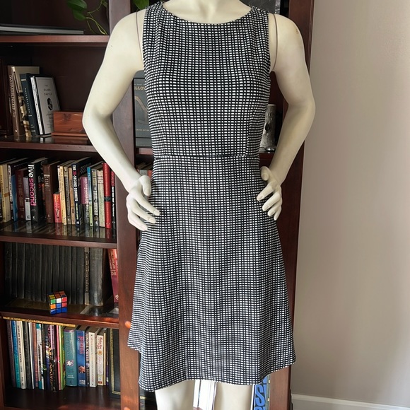 LOFT | Dresses | Nwt Loft Dress | Poshmark